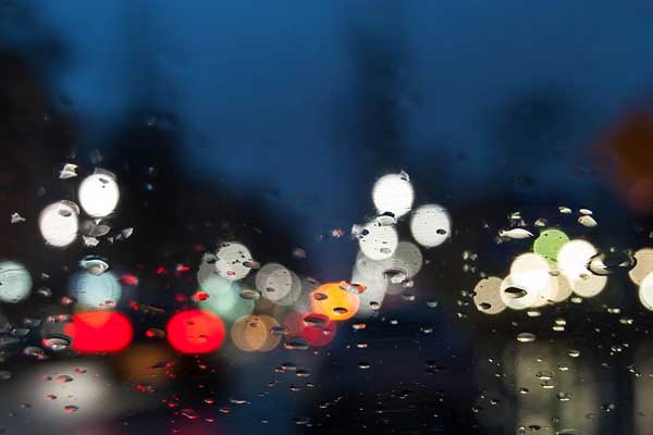 31+ Transparent Backgrounds | Free & Premium Downloads