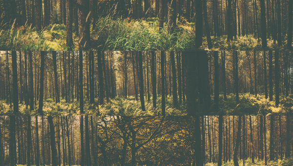 Nature Design Background